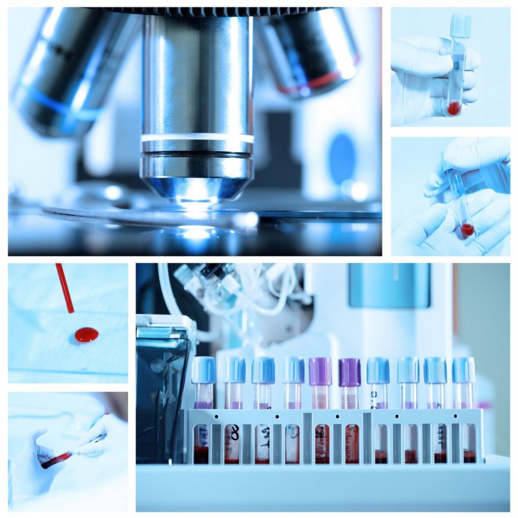 Laboratory Services in Edmonton, Alberta | The Spay Clinic