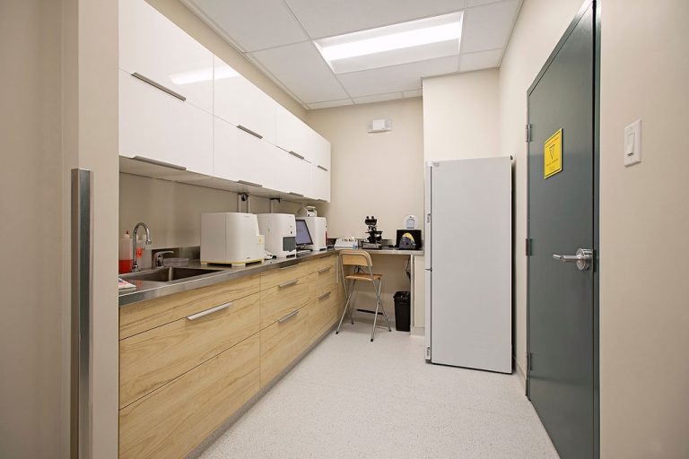 Laboratory Services in Edmonton, Alberta | The Spay Clinic
